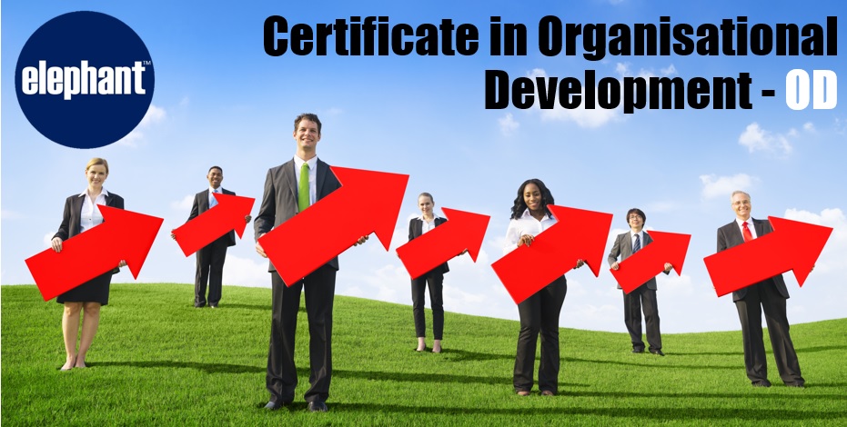 Certificate in OD – Elephant Group