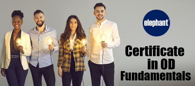 Certificate in OD Fundamentals – Elephant Group